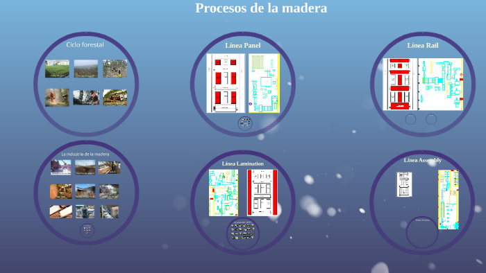 Procesos De La Madera by on Prezi