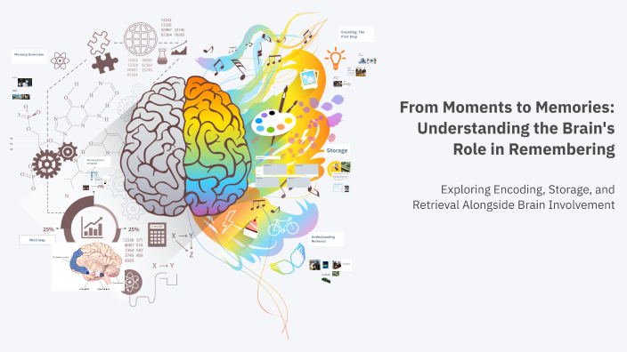 Understanding Memory: Processes and Functions by America Hernandez-Ortiz on Prezi