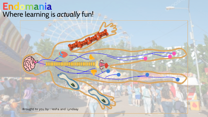 Endomania: endocrine system themed amusement park by iesha landis on Prezi