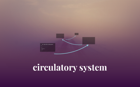 circulatory system by brooke burchfield on Prezi