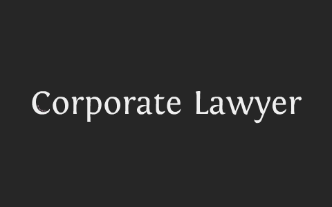 Careers: Corporate Lawyer by Rebecca Ruan