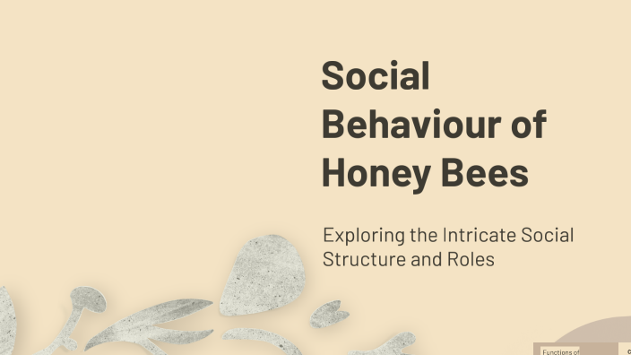 Social Behaviour of Honey Bees by sidheek kt on Prezi