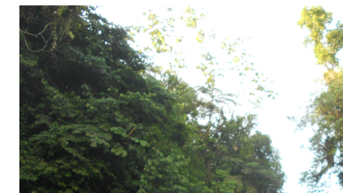 Salud e Interculturalidad en Pueblos Kichwas de la Amazonía by Marcos ...