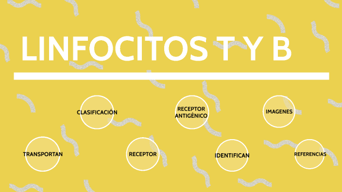Linfocitos T y B by Meilumi Mitsuko Romero Medina
