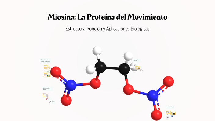 Miosina: La Proteína del Movimiento by Marcela Obando on Prezi