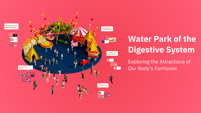 Water Park of the Digestive System by Maxwell Cave on Prezi