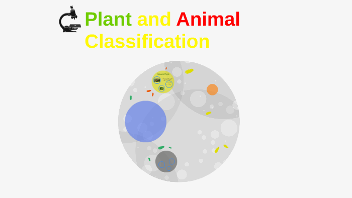 Plant and Animal Classification by Ian Reese on Prezi