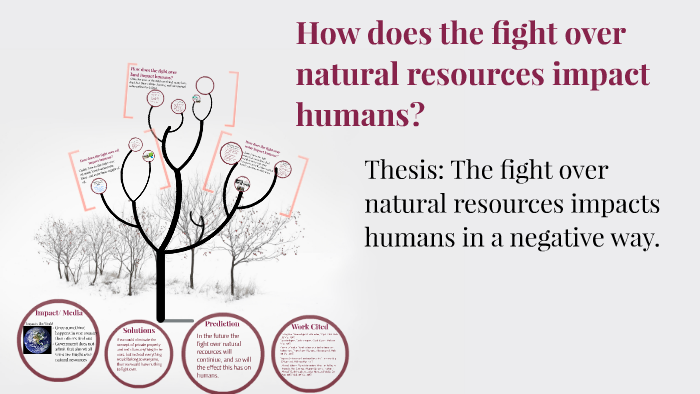 How does the fight over natural recorces by Francesca Di Giammarino on ...