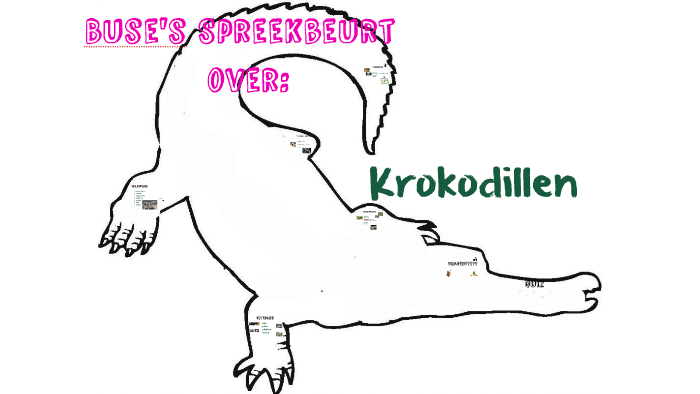 Buse's Spreekbeurt: krokodil by gokce isik on Prezi