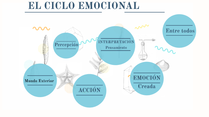 el ciclo emocional by andrea lopez on Prezi
