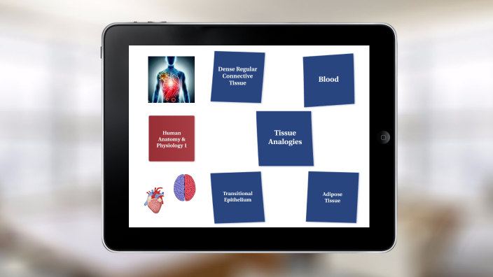 Tissue Analogy by Mason Jackson on Prezi