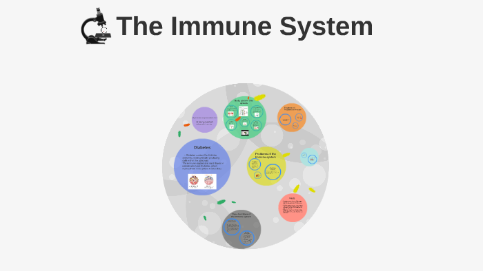 Immune System Project by Abby Hahn on Prezi