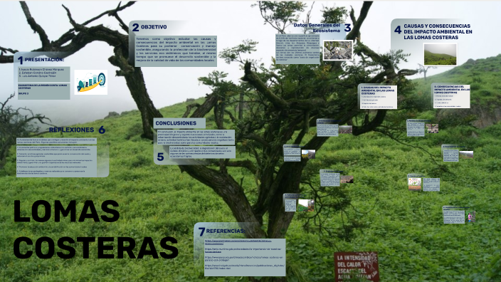 LOMAS COSTERAS by Esteban on Prezi