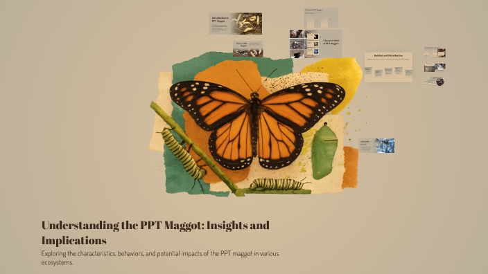 Understanding the PPT Maggot: Insights and Implications by Rifdah ...