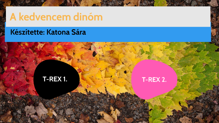 Katona Sára-zh by Sára Katona on Prezi
