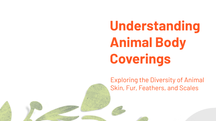 Understanding Animal Body Coverings by eli sh on Prezi