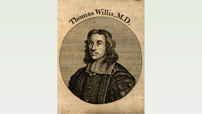 Thomas Willis (1621-1675) by Alan Gavito on Prezi