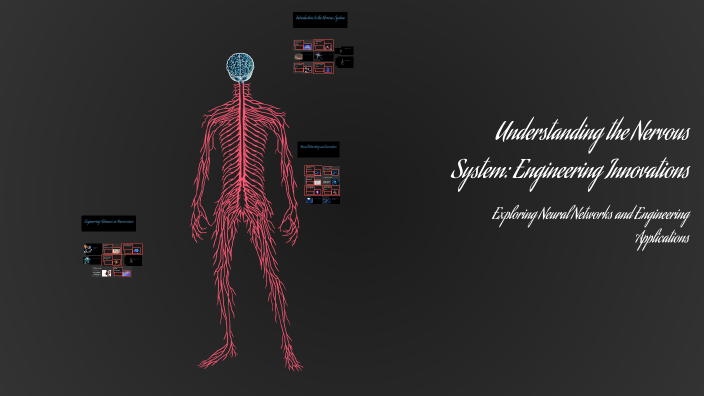 Understanding the Nervous System: Engineering Innovations by Ajju Isbot ...
