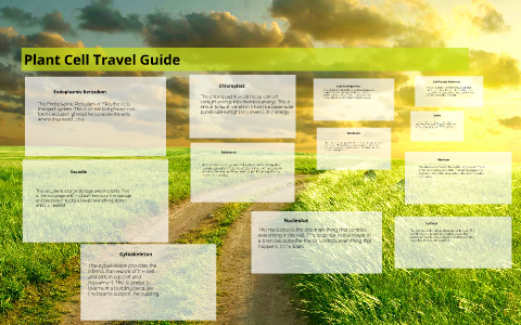 Plant Cell Travel Guide by on Prezi