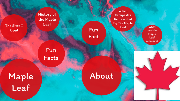 Maple Leaf by Kavya Patel on Prezi