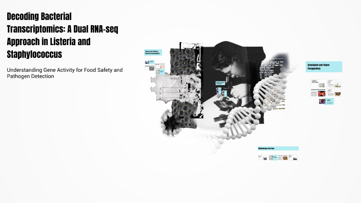 Decoding Bacterial Transcriptomics: A Dual RNA-seq Approach in Listeria ...