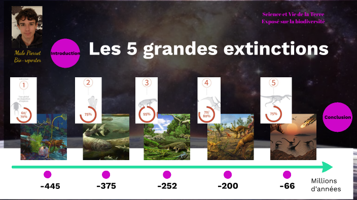 Les 5 extinctions de masse by Malo Pierret on Prezi