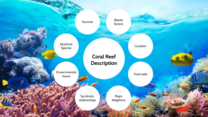 coral reef ecosystem project by Ritvik Tavva on Prezi