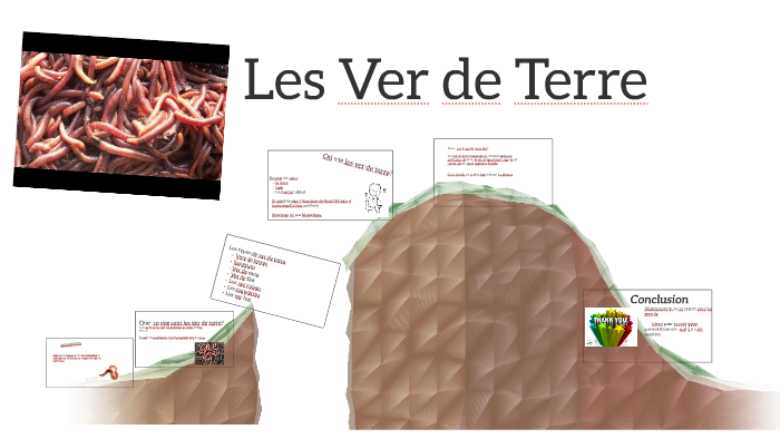 Les Ver de Terre by Madeeha Varvani on Prezi