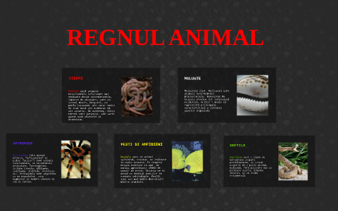 REGNUL ANIMAL by on Prezi