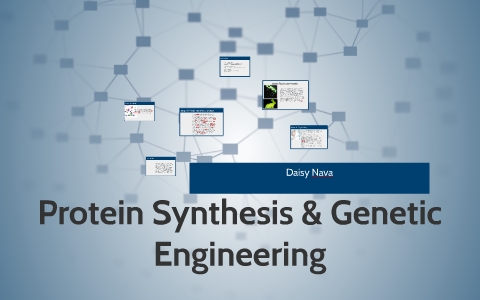 Protein Synthesis & Genetic Engineering by Daisy Nava on Prezi