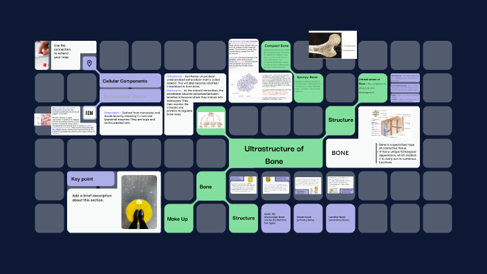 Ultrastructure of Bone by Christina Pitman on Prezi