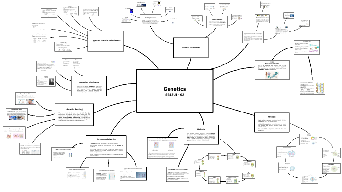 Genetics Mind Map by Parin Razdan on Prezi