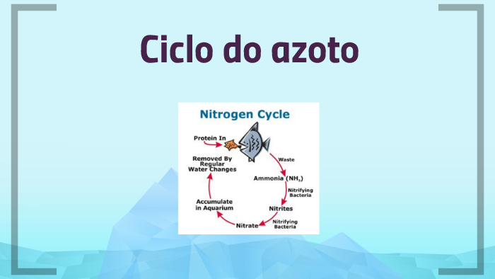 Ciclo do azoto by Anabela Bastos on Prezi