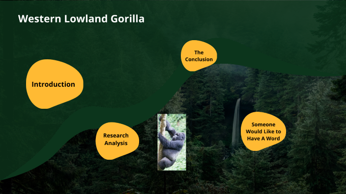 Rafael Banoub Science Report by Rafi Banoub on Prezi