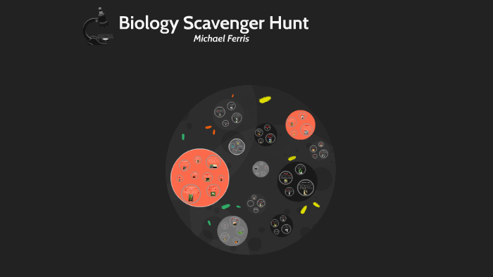 Biology Scavenger Hunt by Michael Ferris on Prezi