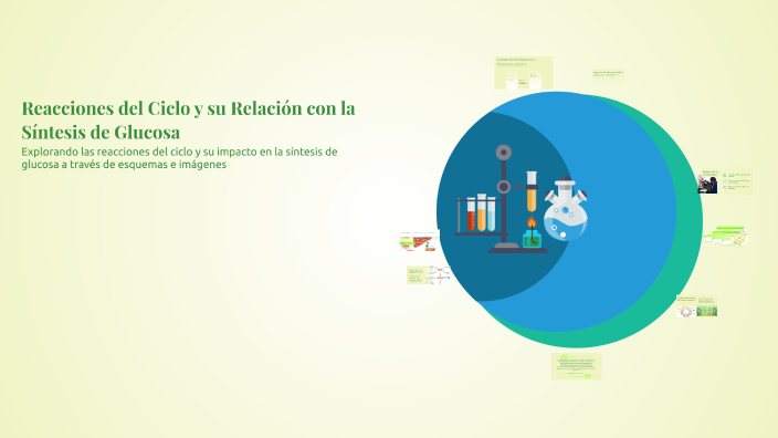 Reacciones del Ciclo y su Relación con la Síntesis de Glucosa by ...