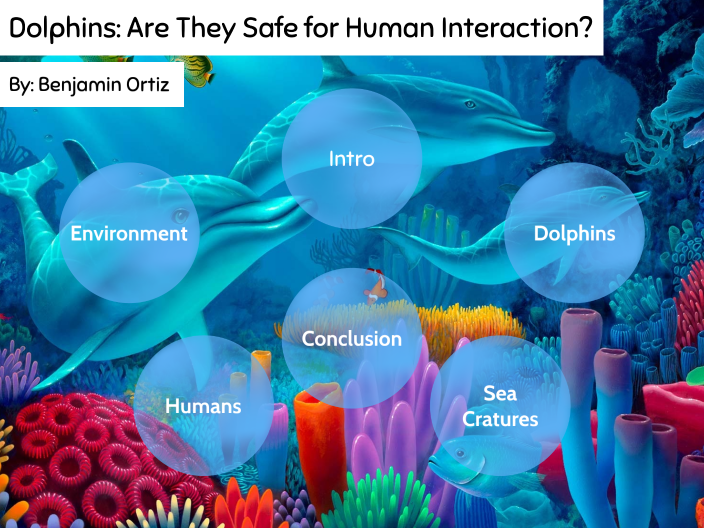 Dolphins: Are They Safe for Human Interaction? by Benjamin Ortiz on Prezi