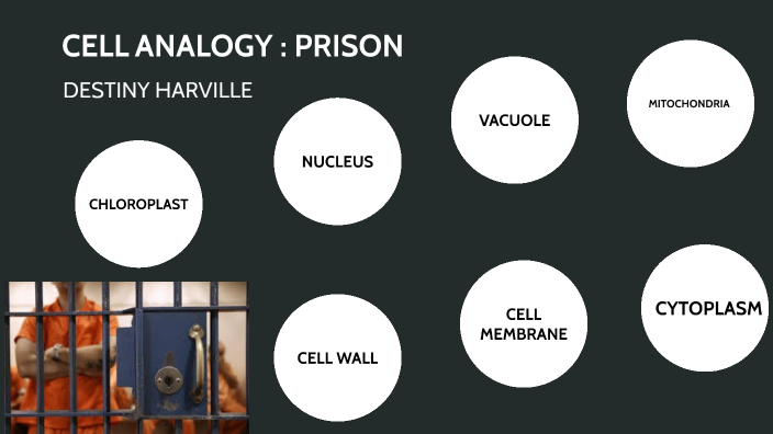 Cell Analogy: PRISON BY: Destiny Harville by Destiny Harville on Prezi