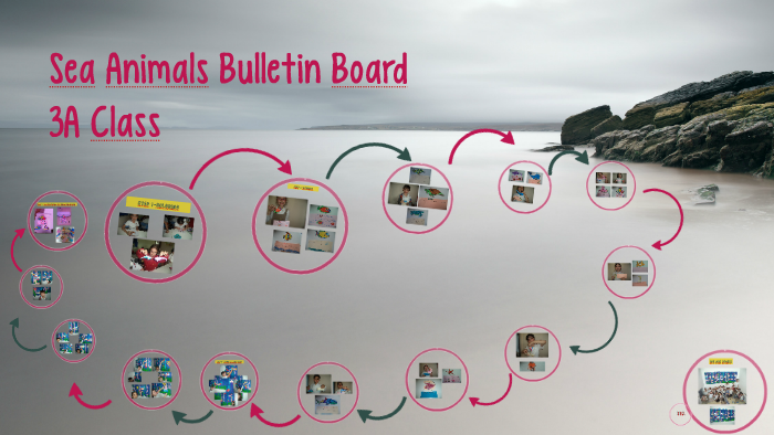 Sea Animals Bulletin Board by Feride CÖMERT on Prezi