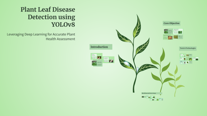 Plant Leaf Disease Detection using YOLOv8 by Bakchodi on Prezi
