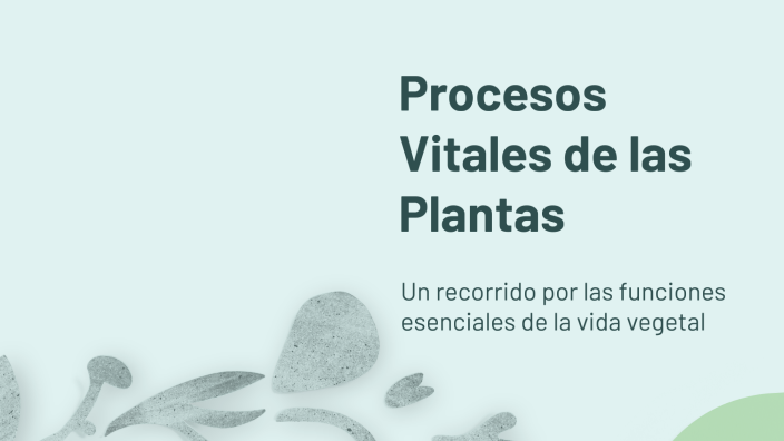Procesos Vitales de las Plantas by Kary Mendoza on Prezi