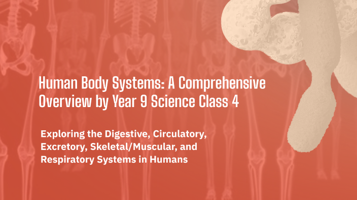 Human Body Systems: A Comprehensive Overview by Year 9 Science Class 4 ...