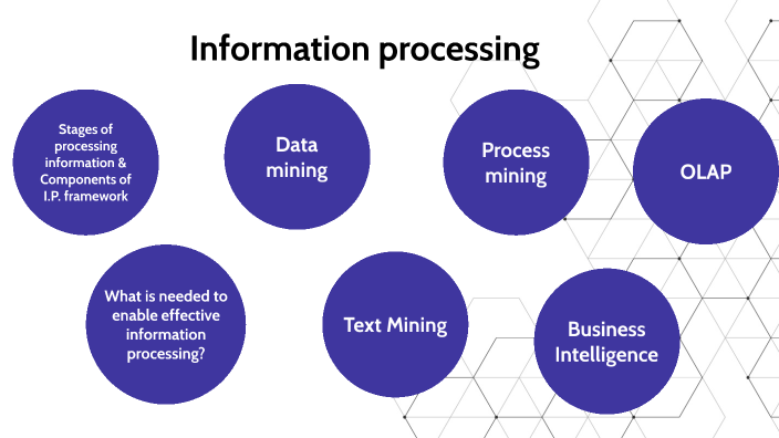 Information processing by Karolina Muszynska on Prezi