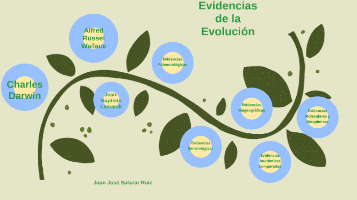 Evidencias de la Evolución by Juanjo Salazar on Prezi