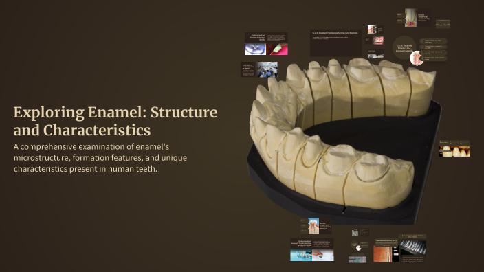 Exploring Enamel: Structure and Characteristics by أحــمــد on Prezi