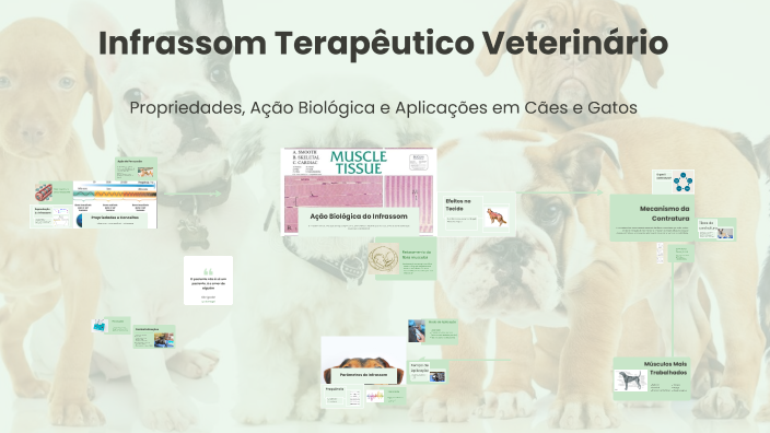 Infrassom Terapêutico Veterinário by Lya Somogyi on Prezi