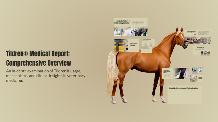 Tildren® Medical Report: Comprehensive Overview by Hanim Sami on Prezi