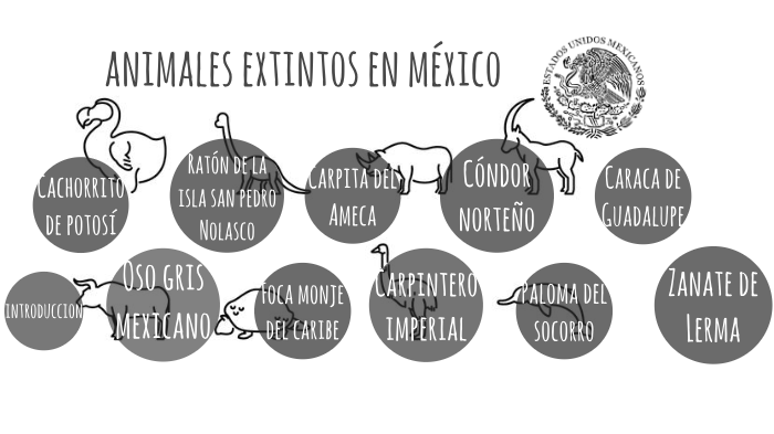 ANIMALES EXTINTOS EN MÉXICO by Mariana Madrid on Prezi