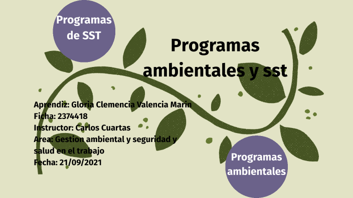 Programas ambientales y seguridad y salud en el trabajo by Gloria ...