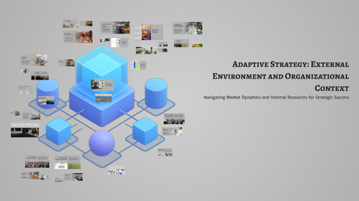 Adaptive Strategy: External Environment and Organizational Context by ...
